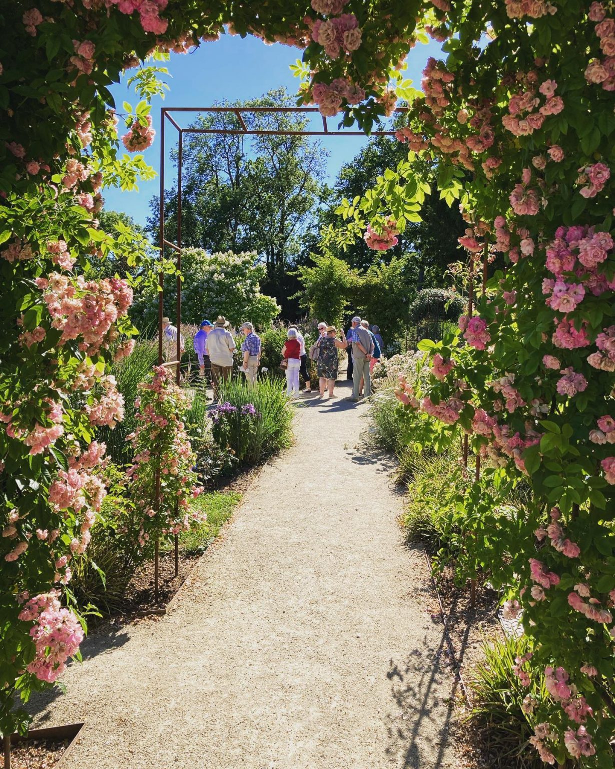 Visite de la roseraie château de Munsbach – Palea